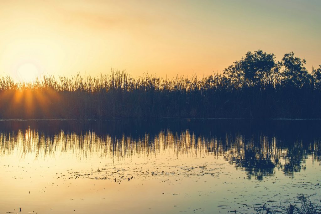 Kayak Fishing Everglades National Park: Best Zones, Seasons, and ...